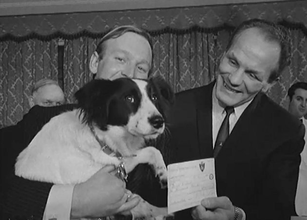 Cachorro recupera a Taça Jules Rimet em Londres – efemérides do éfemello